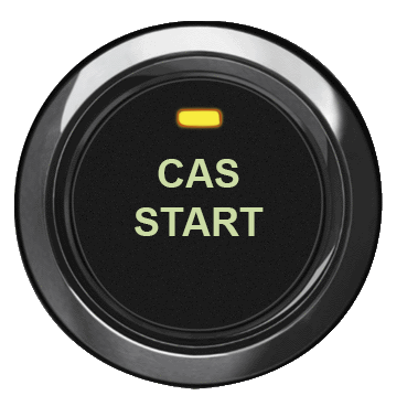 Client Access System